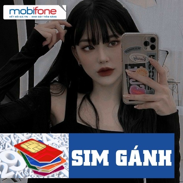 Bạn biết gì về sim số gánh hiện nay: Blog của Vinhdlp